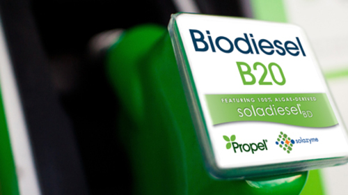 Algae based biodiesel now on sale in SF Bay Area gas stations | Torque News